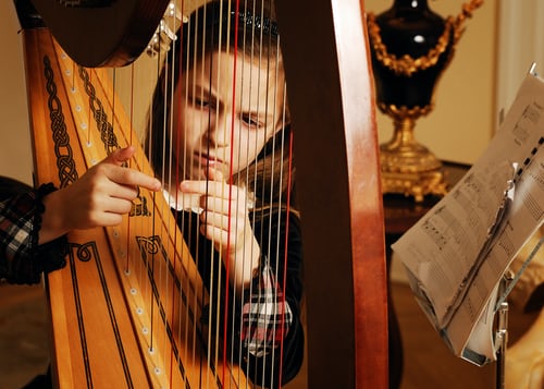 The 11 Hardest Musical Instruments to Learn | Mussila